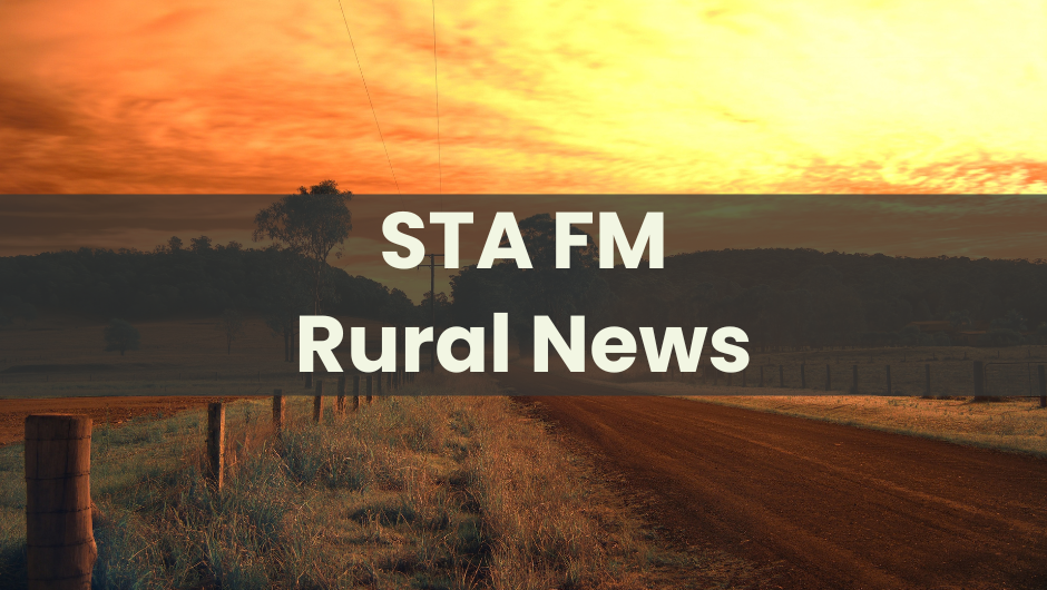 News - STA FM